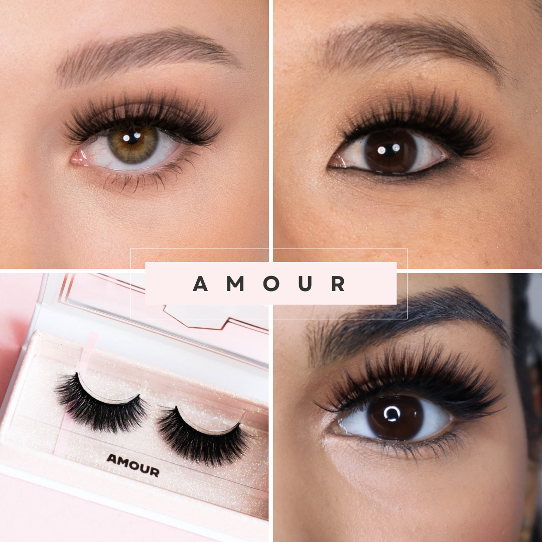 Amour Lashes – Posh Lash Professional Inc